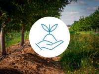 Soil Structure and Irrigation - Almond Learning Hub